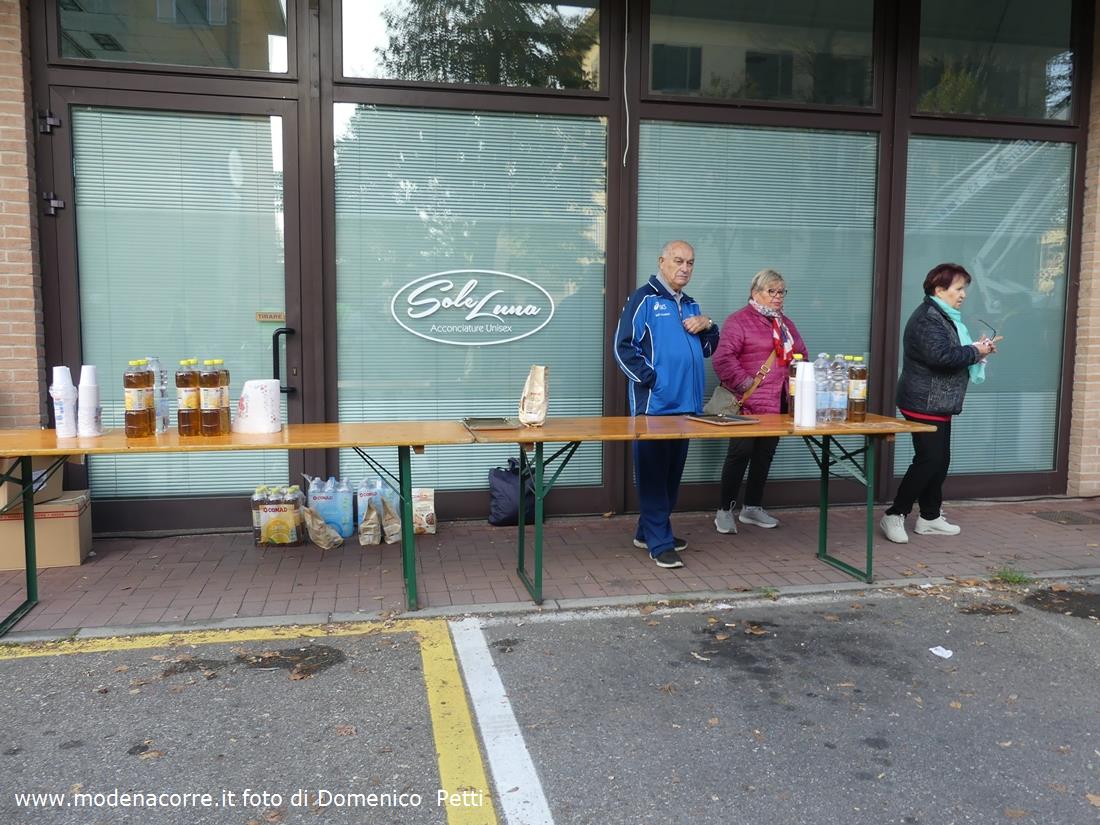 28a Camminata Progetto Wagner - Fabbrico (RE) di Domenico Petti